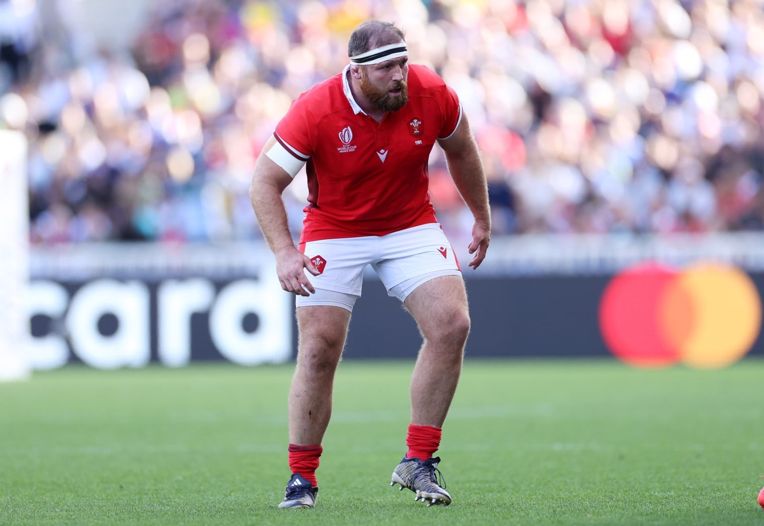Wales international prop Henry Thomas signs for Scarlets - Scarlets Rugby