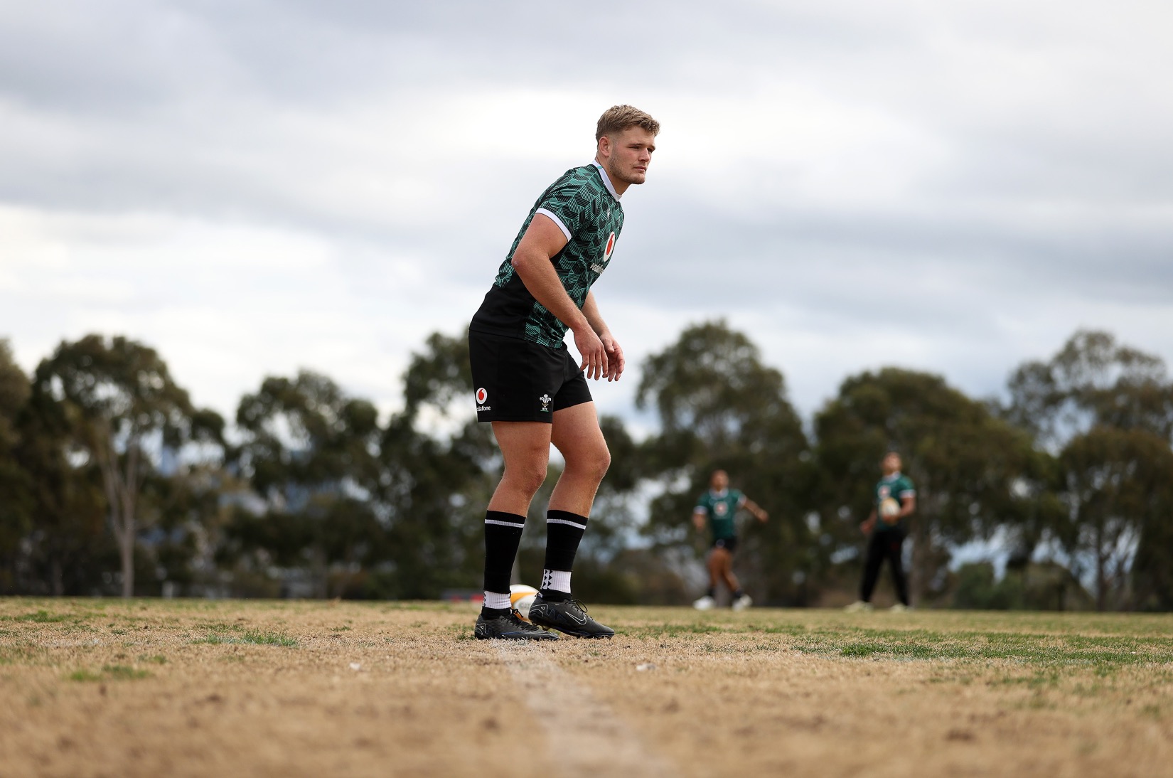 Plumtree switches to eight for second Aussie Test - Scarlets Rugby