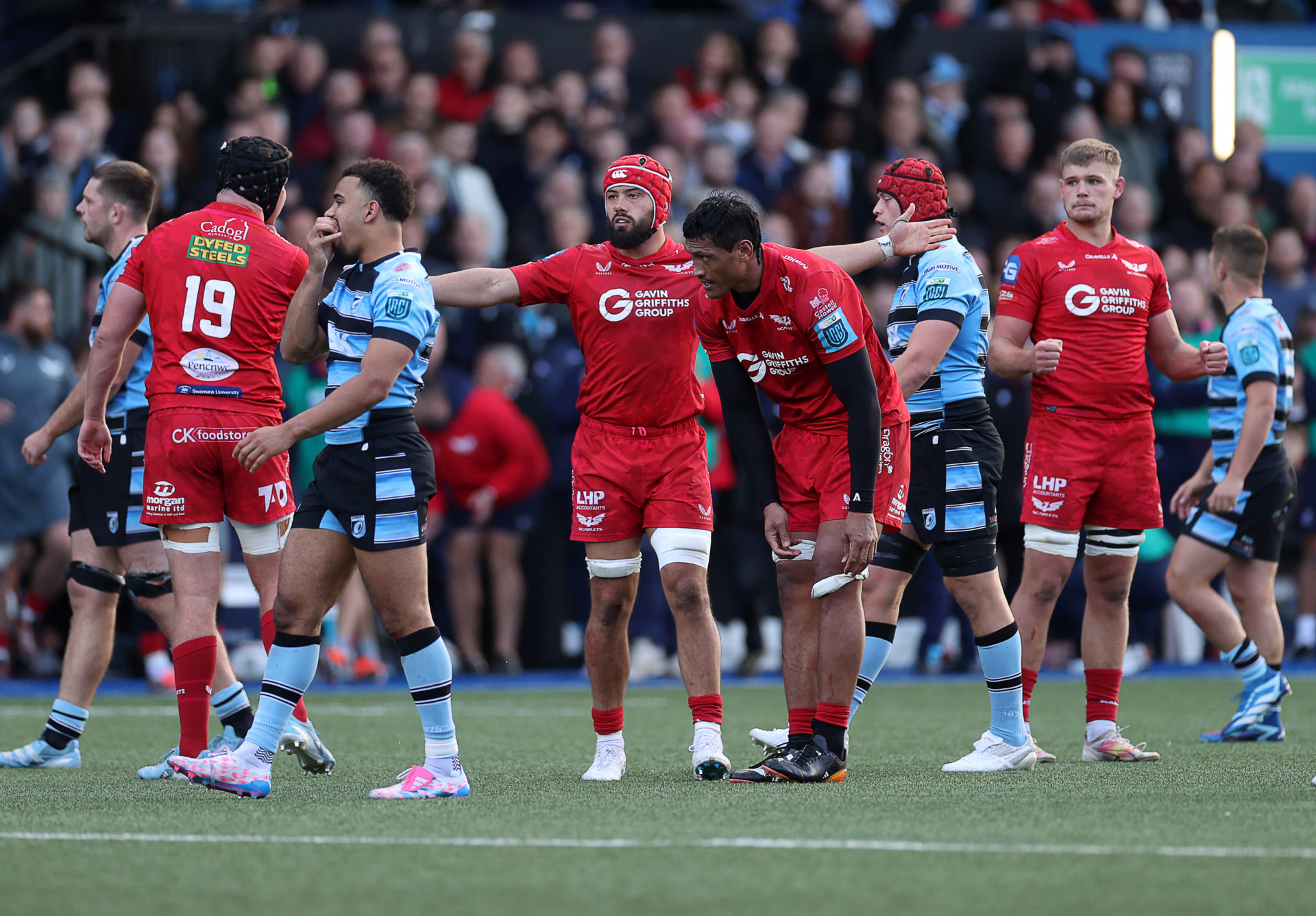 Scarlets dig deep to claim dramatic Arms Park win - Scarlets Rugby