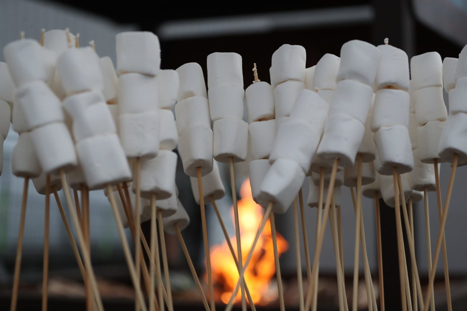 Everything you need to know if you’re coming to the Black Lion game ...