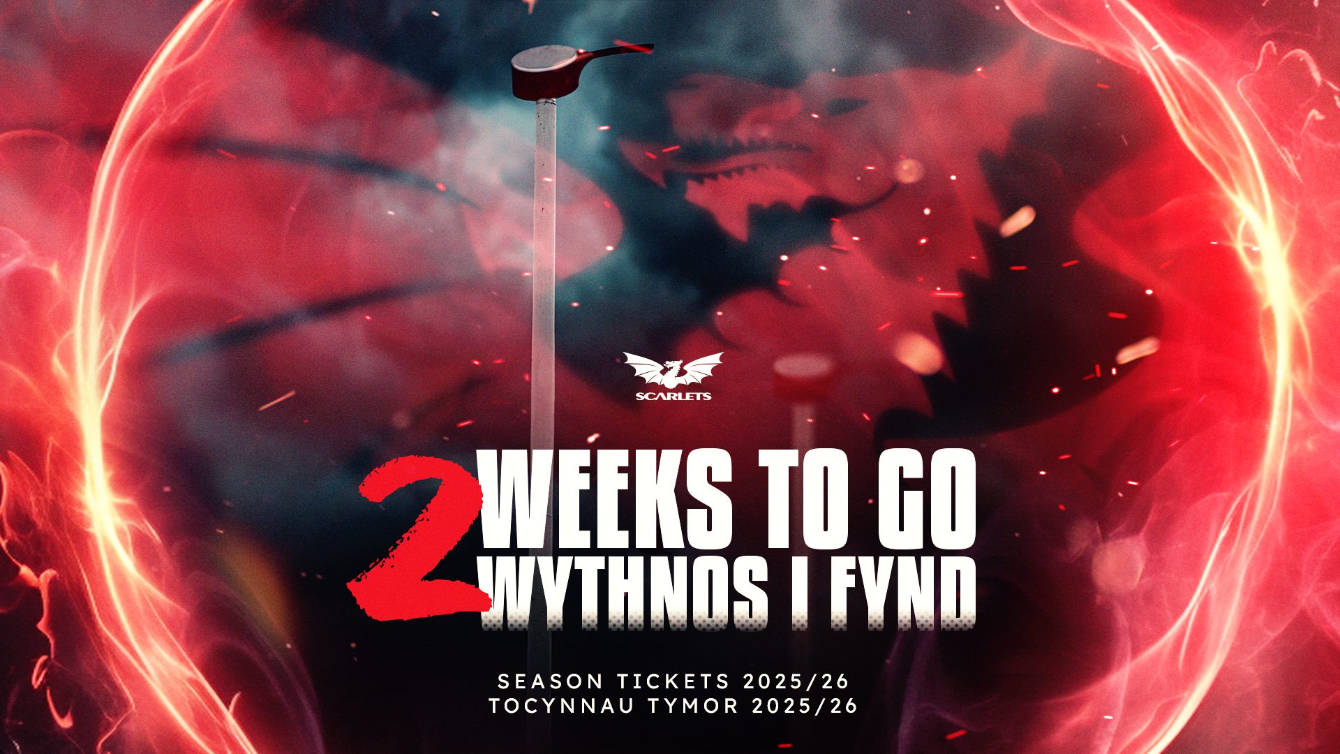 2 weeks to go until 25/26 Season Tickets go on sale - Scarlets Rugby