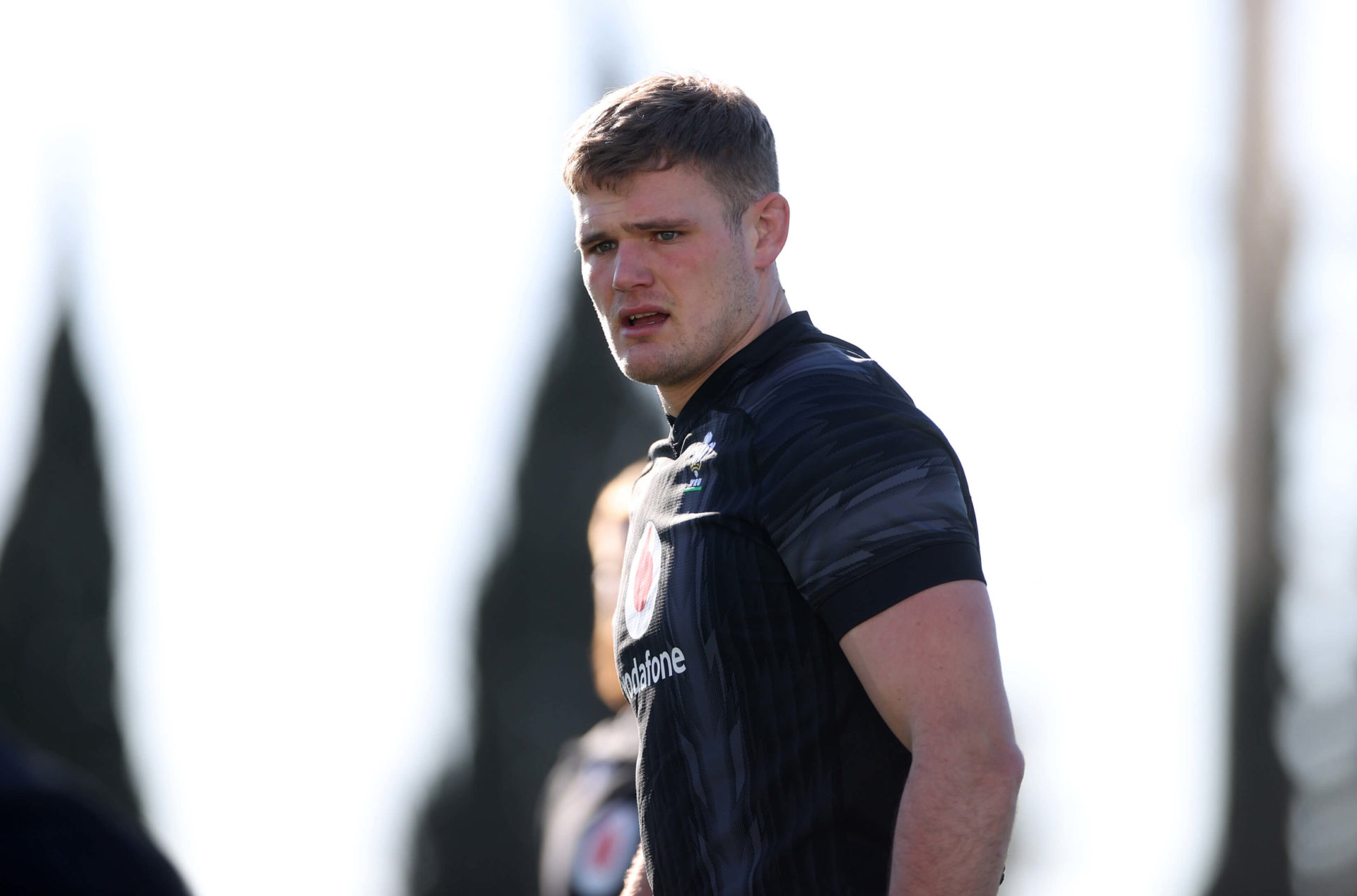 Taine and Joe released for Ulster clash - Scarlets Rugby