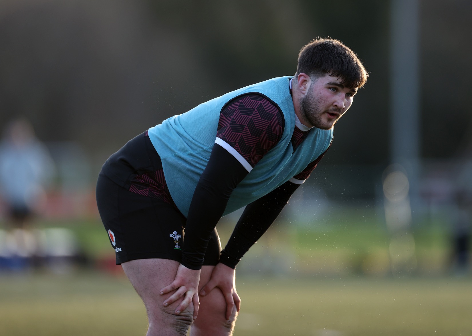 Harry Thomas completes full house against England - Scarlets Rugby