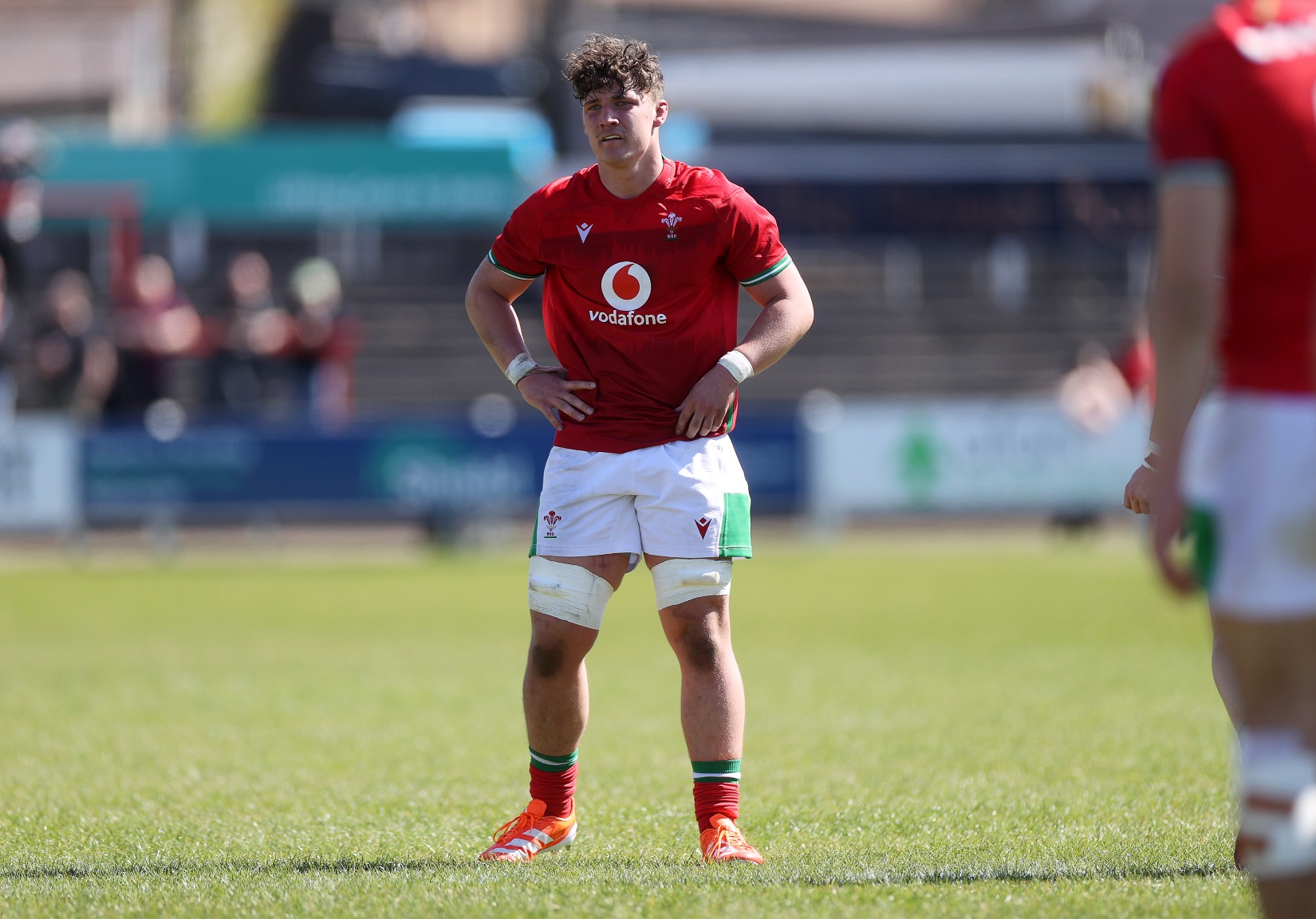 Eight Scarlets named in Wales U20s World Cup training squad - Scarlets ...
