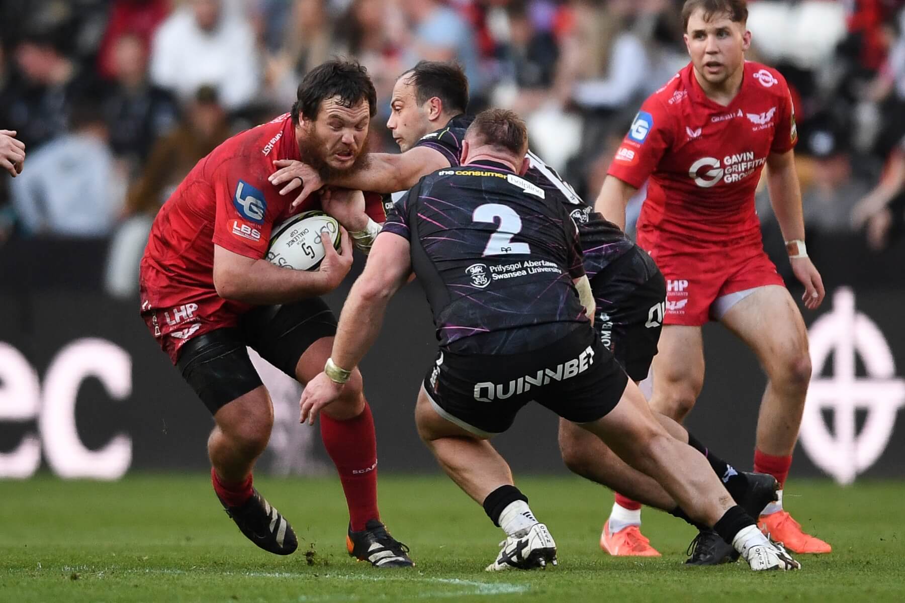 Marnus named in Springboks alignment camp - Scarlets Rugby