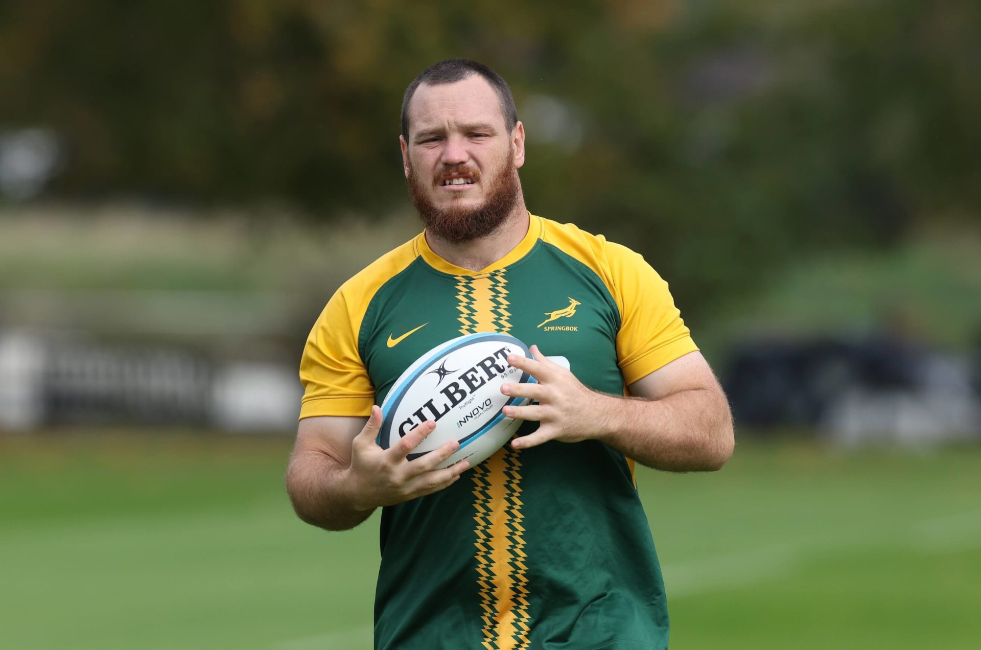 Springbok Marnus van der Merwe returns for Stormers test - Scarlets Rugby