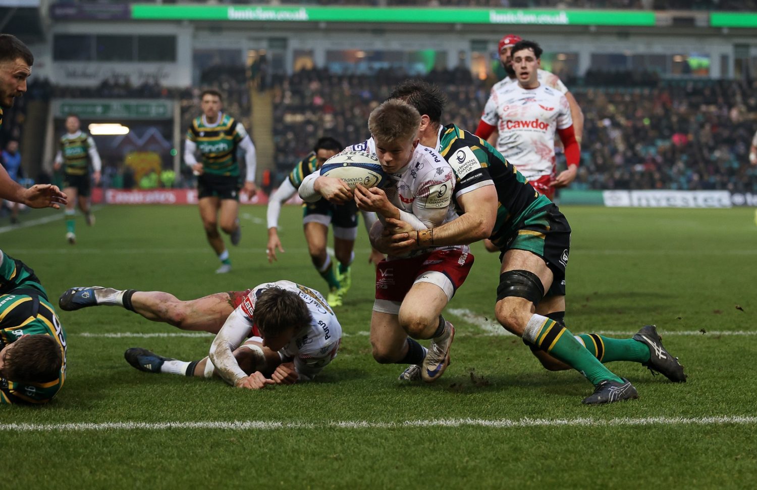 Archie relishing chance to shine - Scarlets Rugby