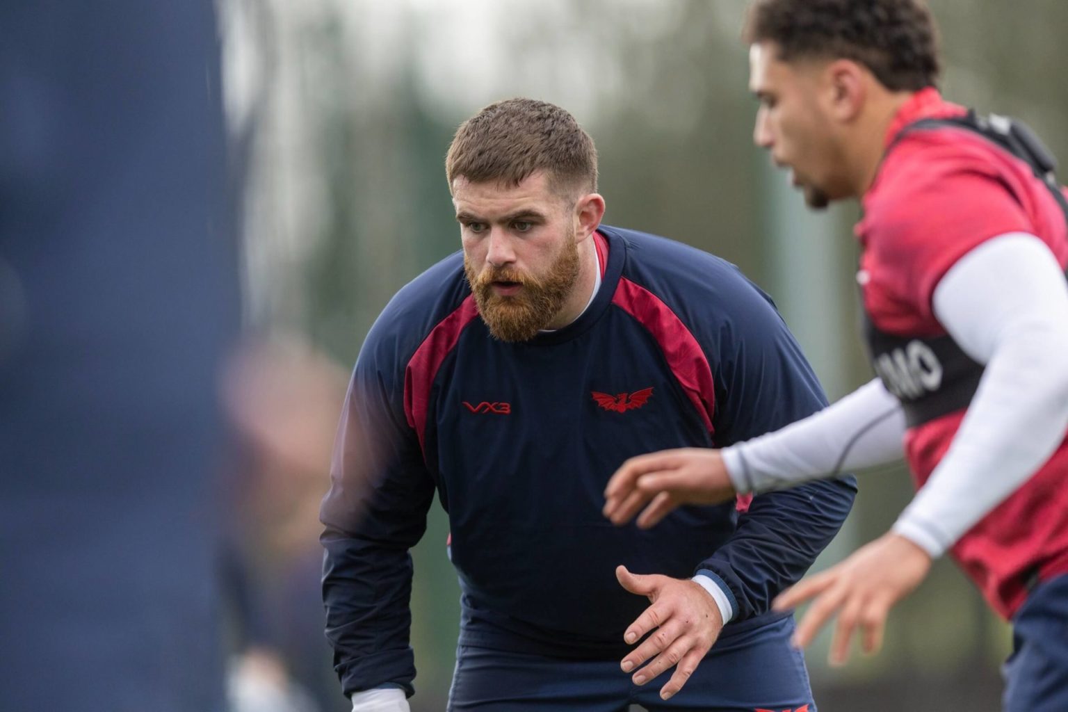Scarlets back in training ahead of Edinburgh clash - Scarlets Rugby