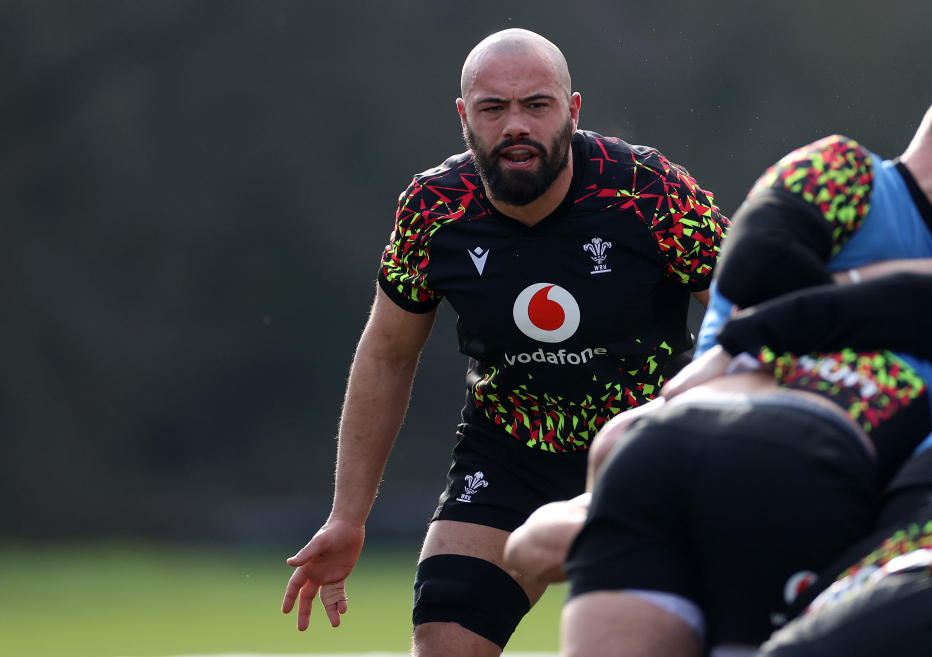 Josh Macleod to make Six Nations debut against England - Scarlets Rugby