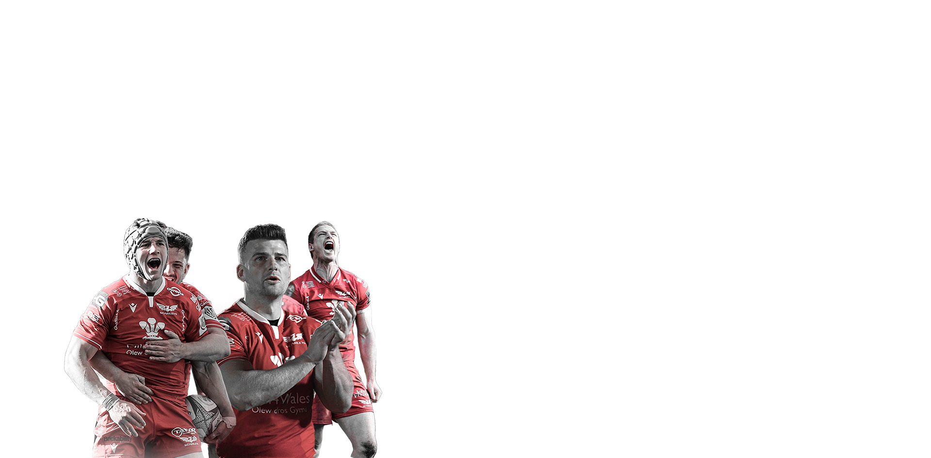 Season Tickets - Scarlets Rugby